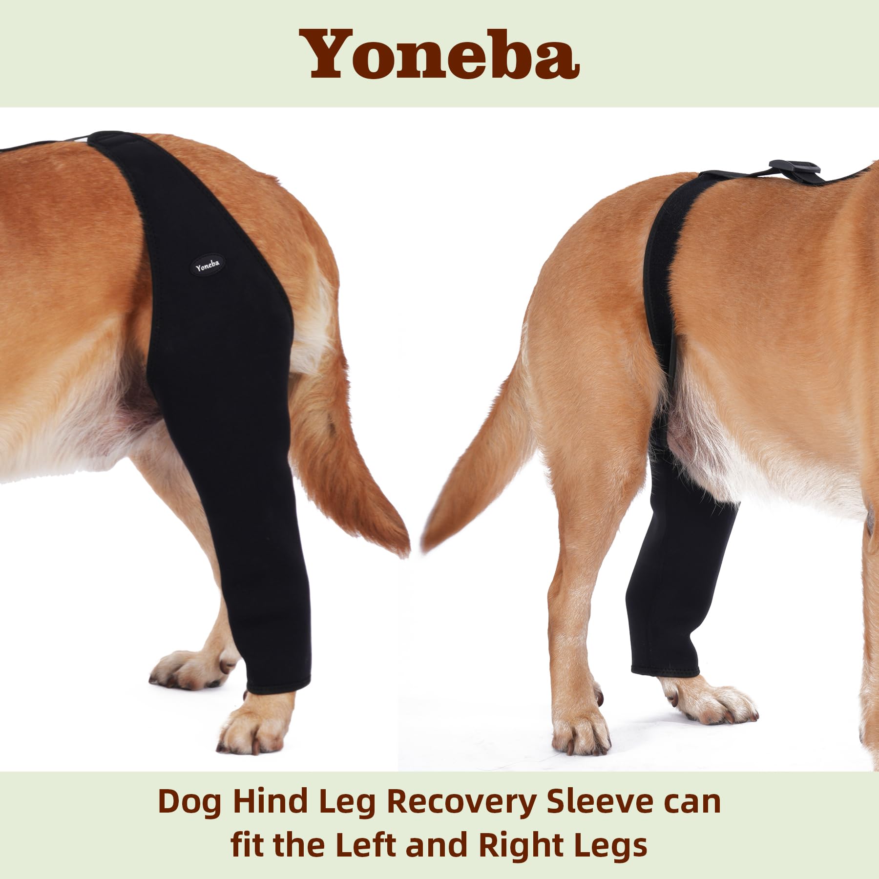 Dog Recovery Sleeve Back Leg Waterproof Diving Material,Dog Leg Sleeve to Stop Licking and Biting Firm and Secure, Adjustable Size, 2.5mm Thick Comfortable Alternative to Cone Collars (2XLarge)