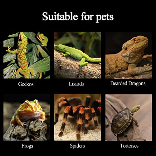 Freiomyi Bearded Dragon Hideout Reptiles Wooden Bridge Bendable Climber Ladder Hide Caves with Hanging Plants Habitat Decor Accessories for Gecko Chameleon Frog Turtle Snake 15.7″×5.9″