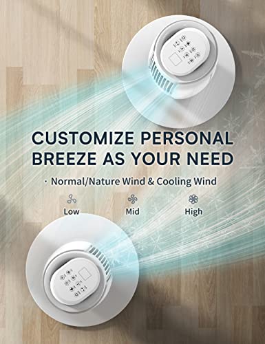 Evaporative Air Cooler Windowless - COMFYHOME 3 IN 1 Portable Evaporative Cooler, 3 Speeds, 60°Oscillation, 12H Timer & Remote, Personal Cooling Fan, Room Air Conditioner for Bedroom Home Office, 43In