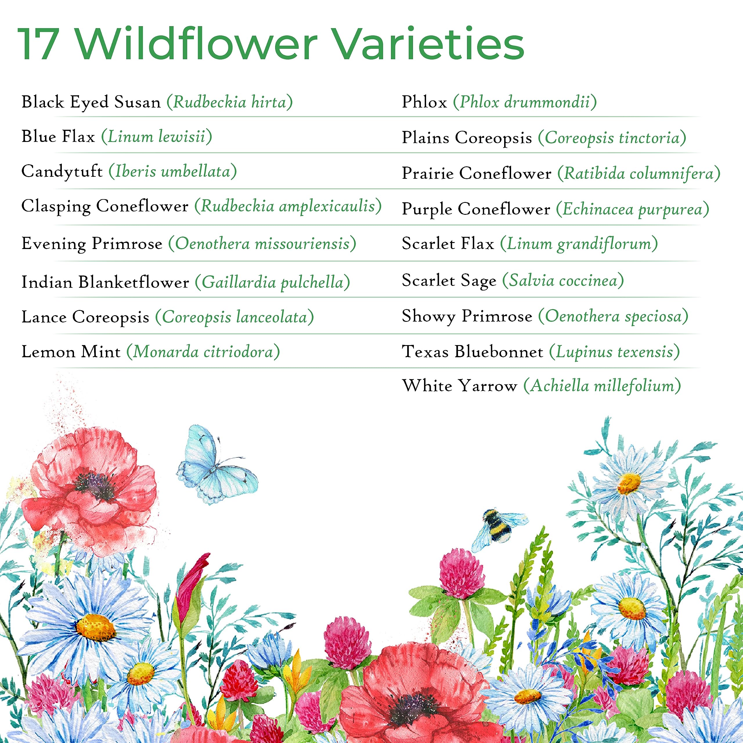 Created By Nature Texas Wildflower Seed Mix, Covers 325 Sq Ft, 17 Flower Varieties, Over 60,000 Seeds