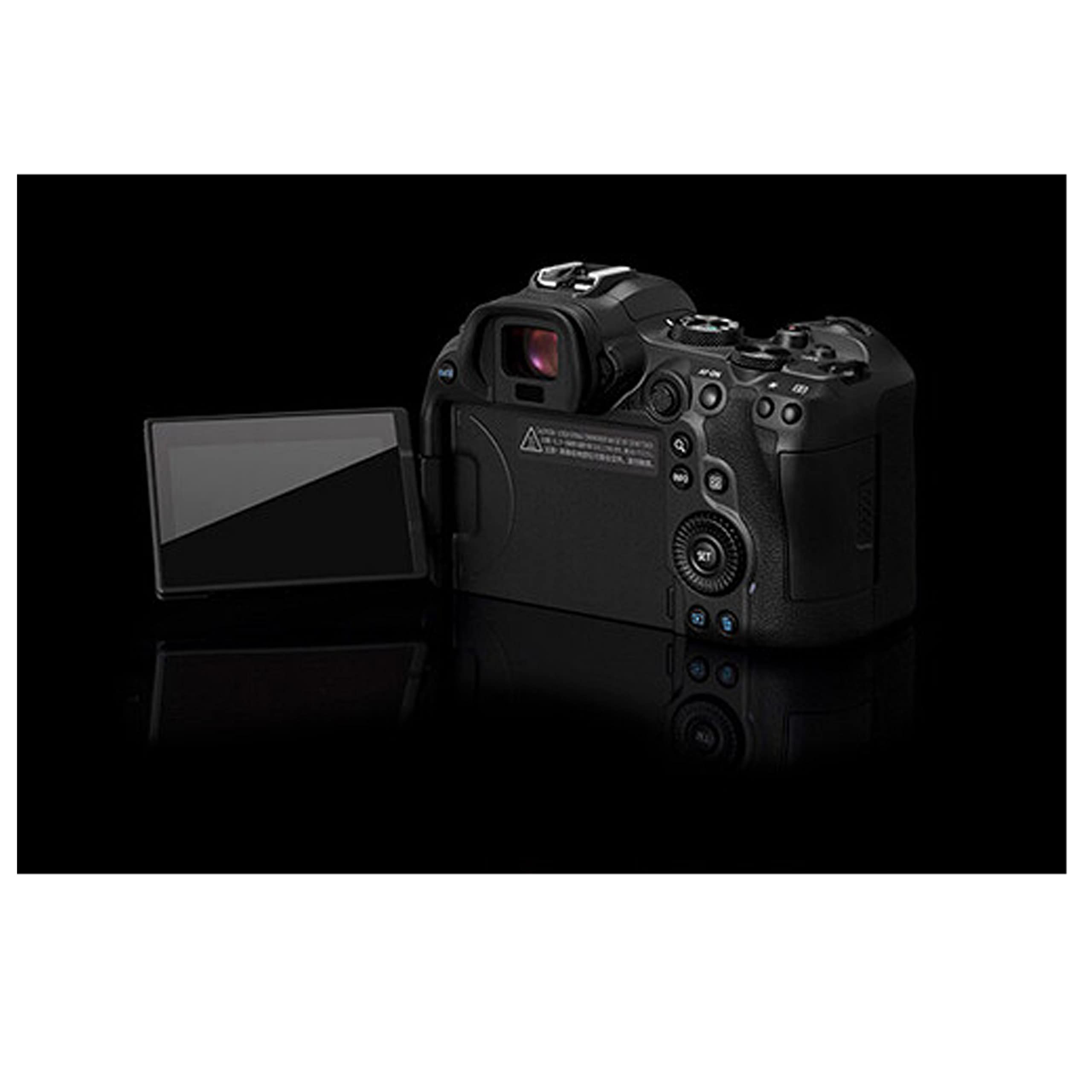 Canon EOS R6 Mirrorless Camera (Body Only) Enhanced with Professional Accessory Bundle - Includes 14 Items
