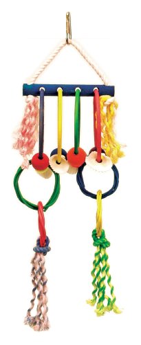 Prevue Hendryx Stick Staxs Hula Hooops Bird Toy, Multi, Small (62424)