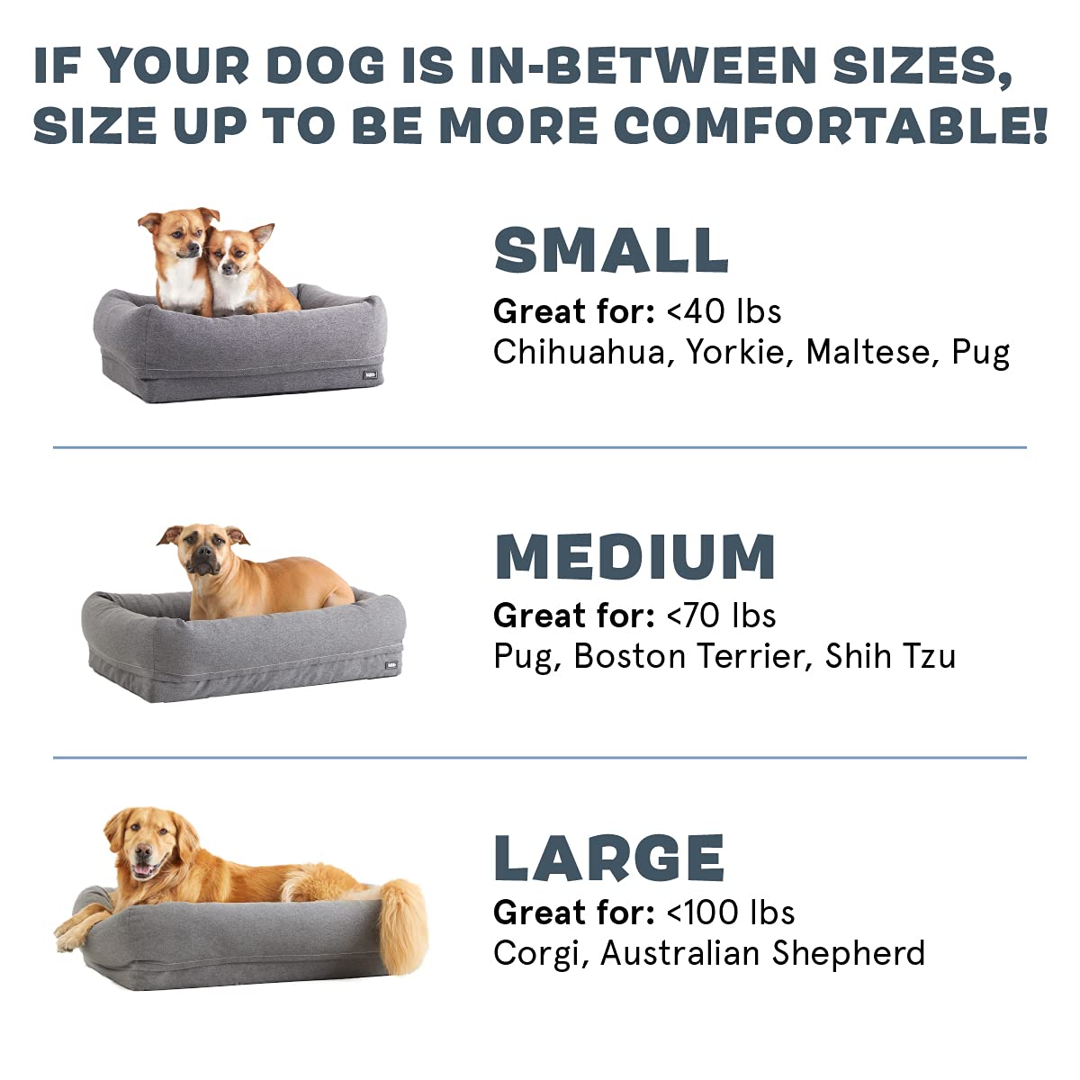 Barkbox Memory Foam Dog Bed with High Density Foam Base for Orthopedic Joint Relief - Crate Lounger, Dog Couch or Sofa Pet Bed - Machine Washable Cover and Water-Resistant Lining - Toy Included