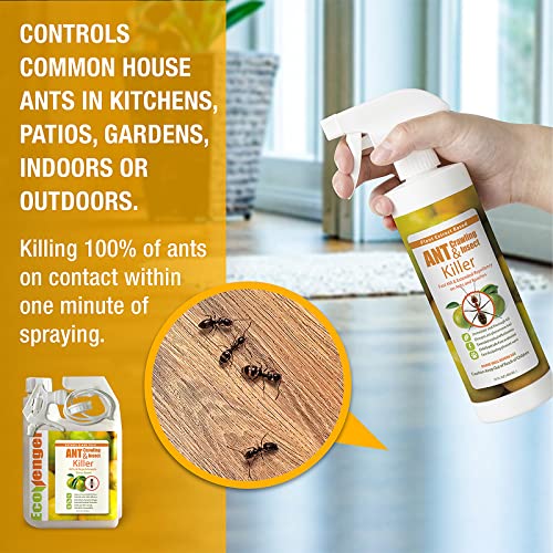 EcoVenger by EcoRaider Ant Killer & Crawling Insect Killer (Citrus Scent) 16oz, Kills Fast, Also Kills Spiders, Centipedes & More, Repels with Residual, Natural & Non-Toxic, Children & Pets Safe