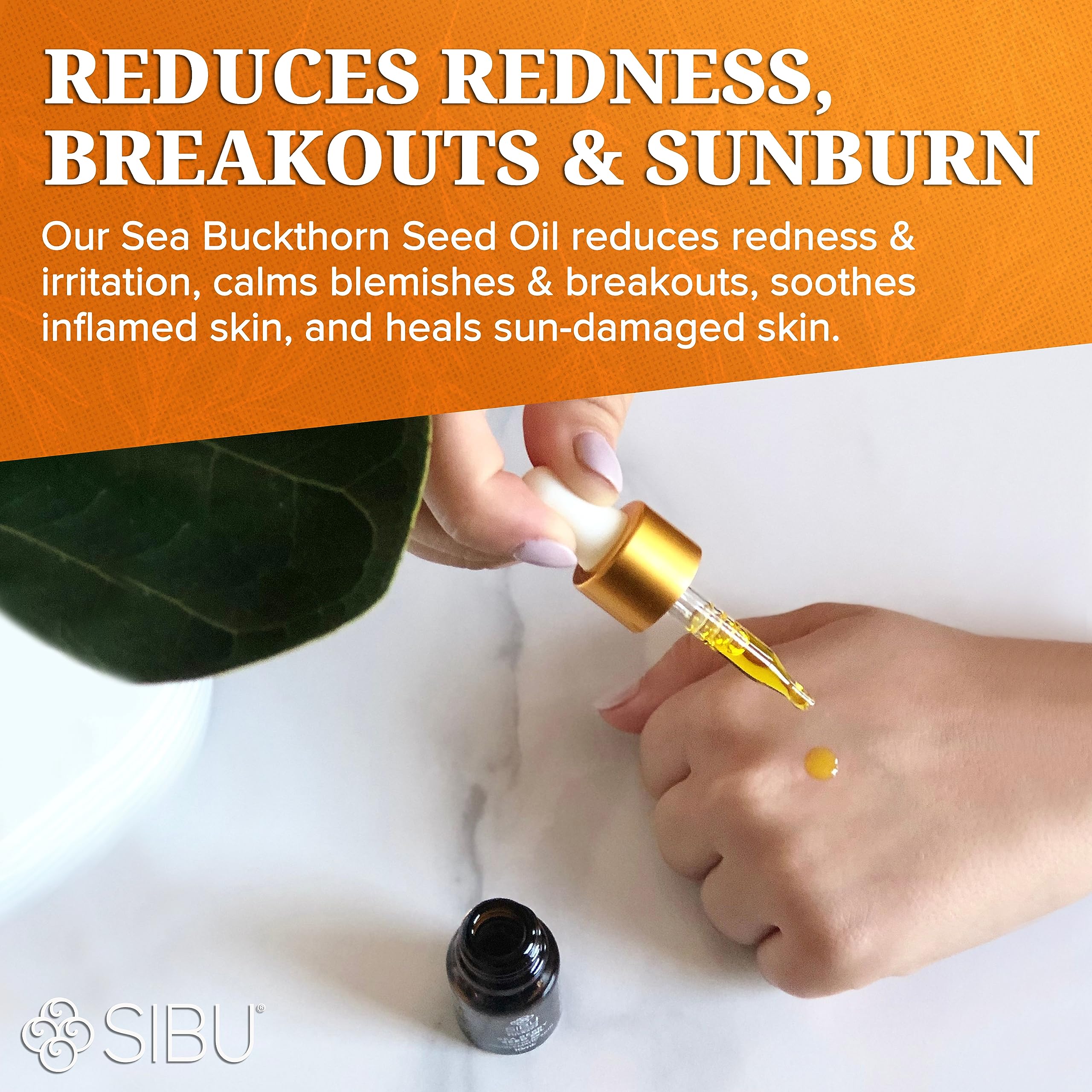 Sibu Premium Himalayan Sea Buckthorn Seed Oil, USDA Organic (10ml) β Amazing for Sensitive Skin, Breakouts, & Irritation