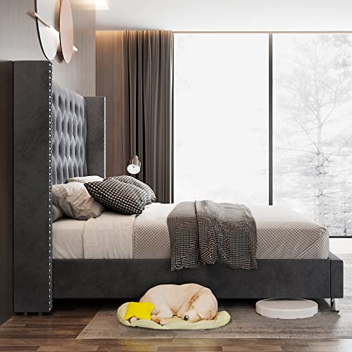 Jocisland Queen Bed Frame Upholstered Bed Wingback Headboard Velvet Tufted Diamond Button/No Box Spring Needed/Easy Assembly/Gray