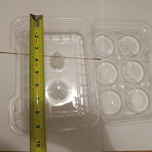 pack of 30 half dozen cupcake containers 6 compartment Clear Cupcake Muffin Containers 4" High for topping Strong Quality 6 cupcake containers plastic disposable 6 cupcake boxes 6 cupcake holder