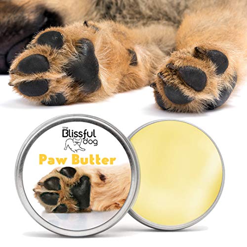The Blissful Dog Paw Butter for Your Dog's Rough and Dry Paws, 1-Ounce