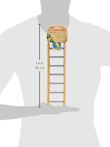 Penn-Plax Small Step Wood and Cement Bird Ladder, 7-Inch, Multicolor (BA242)