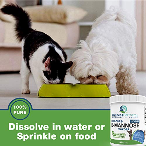WellnessPartners UTI Pets Pure D-Mannose Non GMO Organic Source Powder 65gram jar