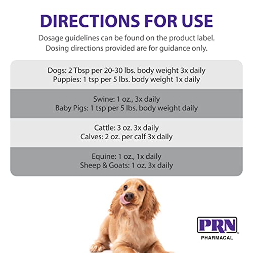 PRN Pharmacal STAT - High Calorie Nutritional Supplement to Help Restore Hydration & Nutrition Levels in Animals - Vanilla Flavored Dietary Support with Vitamin A, D3, C, E, & More - 16 Fl Oz