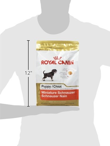 Royal Canin Breed Health Nutrition Miniature Schnauzer Puppy Dry Dog Food, 2.5 lb