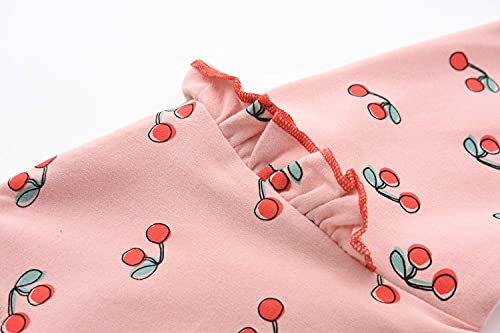 BINIDUCKLING Toddler Crew Neck Sweatshirt Girls 2T Cherry Pink