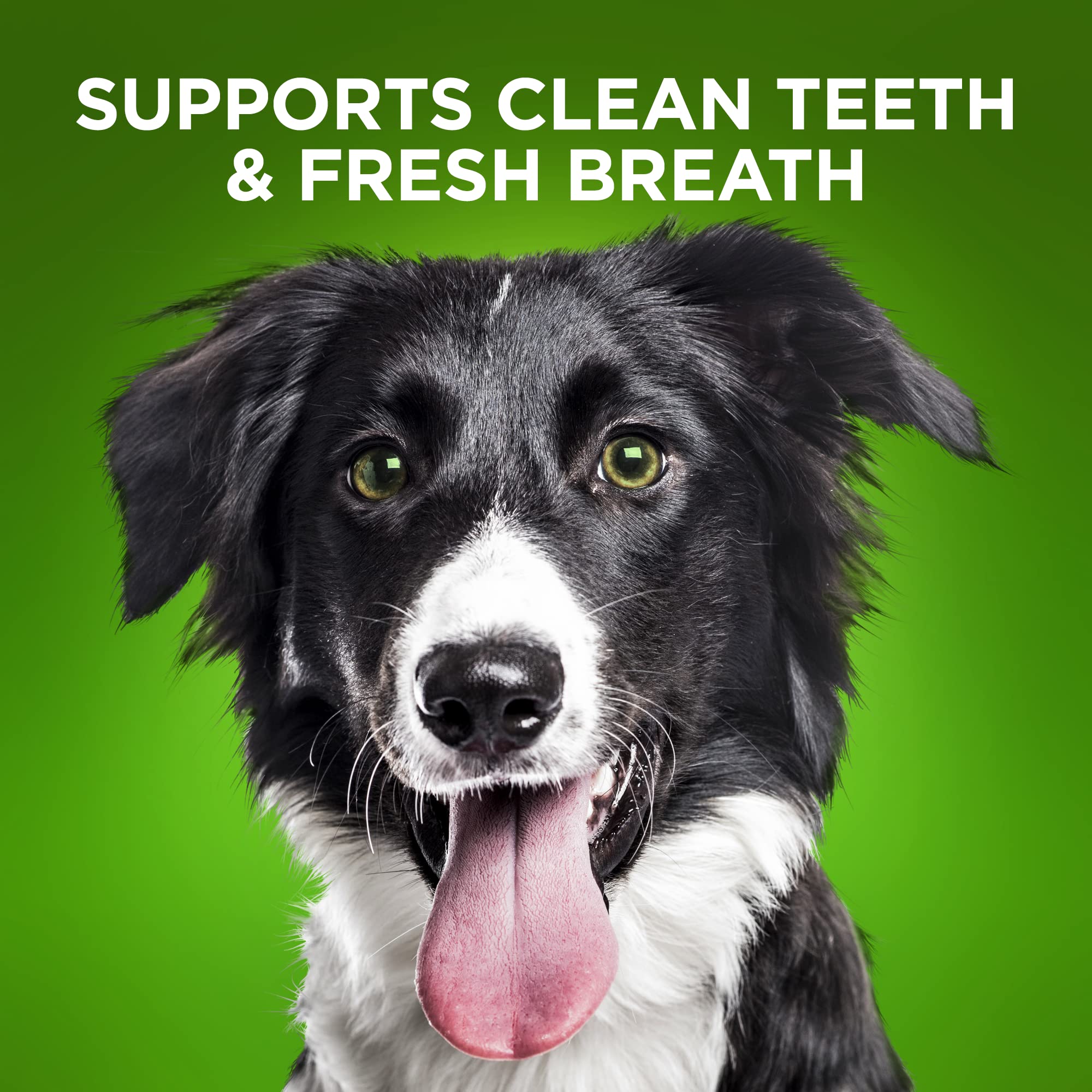 Fruitables Bioactive Dental Chews | Gluten and Grain-free Dental Treat | Superfood Formulated | Medium Dogs | 10 count