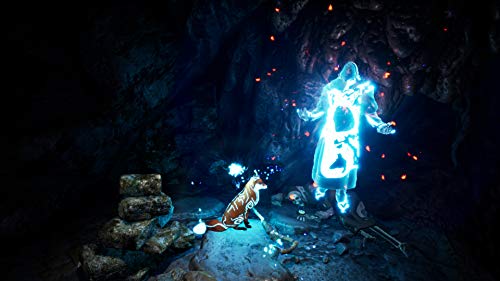 Spirit of The North (PS4)