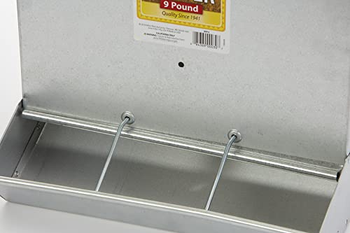 Piglet Feeder - Little Giant - 3-Hole Baby Pig Feeder (Item No. BPF3)