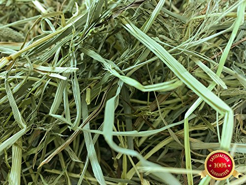 Rabbit Hole Hay Ultra Premium, Hand Packed Soft Timothy Hay for Your Small Pet Rabbit, Chinchilla, or Guinea Pig (20lb)