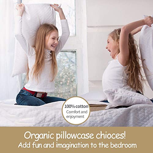 Toddler Pillow with Pillowcase | 13 x 18 Soft Hypoallergenic 100% Organic Cotton Baby Pillows for Sleeping | Small Kids Pillow, Infant - Perfect for Travel, Cribs Bed Sets, Machine Washable