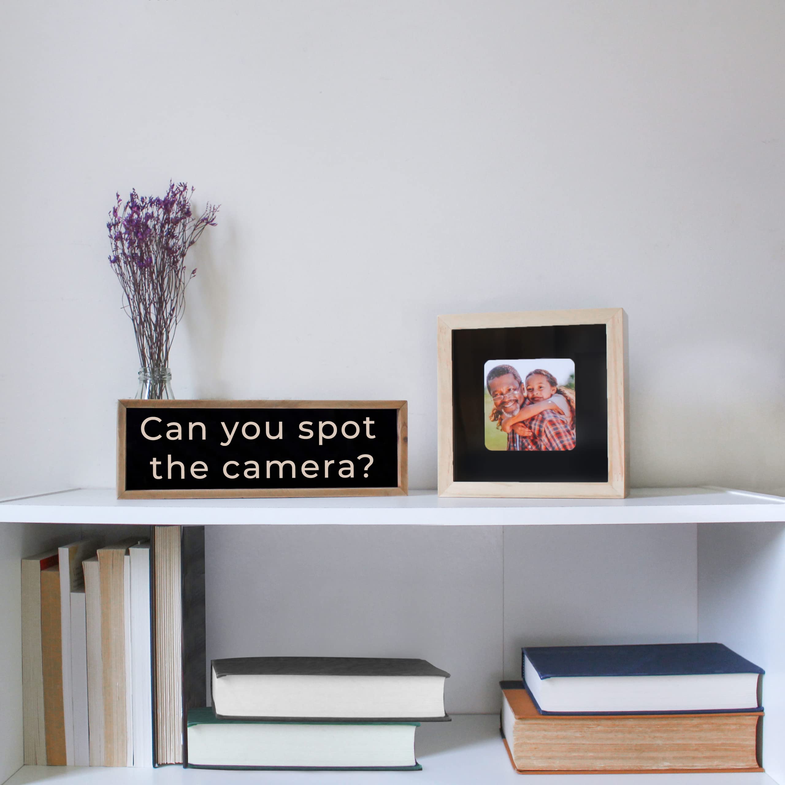 Conceal-a-Cam Home Security Camera Enclosure - White