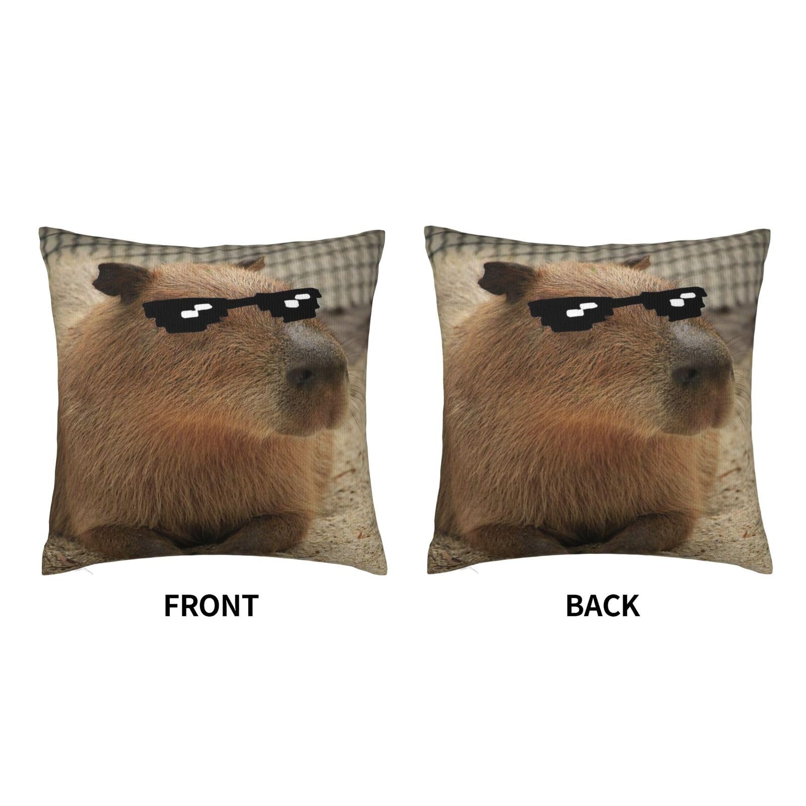 Funny Capybara Funny Meme Animal Throw Pillow Covers Novelty Square Pillow case Home Decorative Bedroom Couch Sofa Cushion case 18x18 in