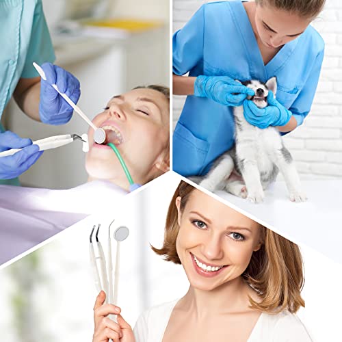 JMU 20 Pack Disposable Dental Examination Kit, 3Pcs Basic Instruments Set, Sterile Packaging, Dental Mirror Explorer Probe Plier, Oral Cleaning Hygiene Kit Dentist Tools