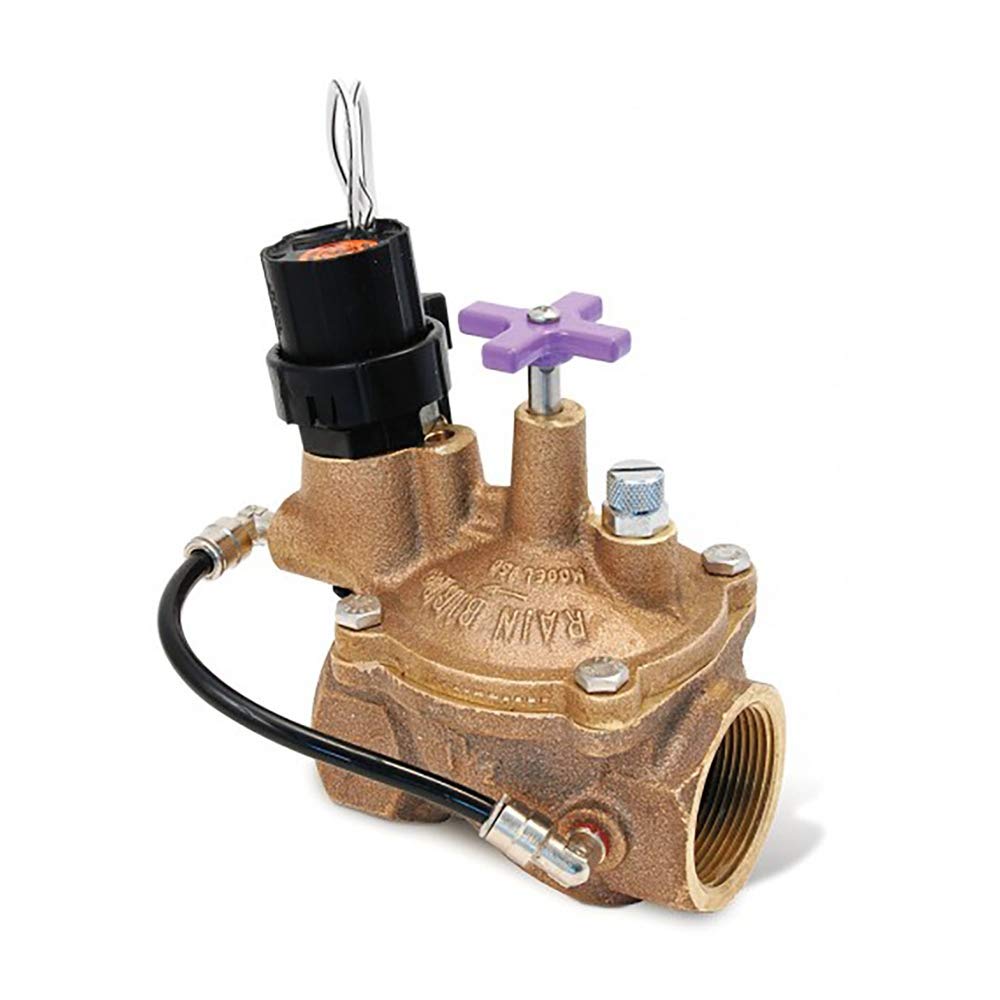 Rain Bird EFB-CP Inline Valve with Flow Control 1 in. FPT | EFB-CP-100