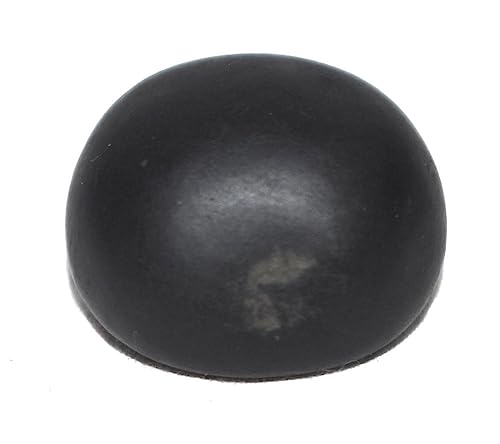 Krishna Shaligram/Santan Gopal Shaligram