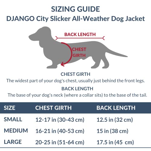 DJANGO City Slicker All-Weather Dog Jacket & Water-Repellent Raincoat with Reflective Piping (Medium, Kombu Green)