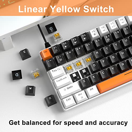 Camiysn 60 Percent Gaming Mechanical Keyboard,Compact 68 Keys Anti-ghosting with Blue Switch with Detachable Type-C Keyboard for PC Gamer Windows Laptop Mac/Xbox(Blue Switch, Black & Gray)
