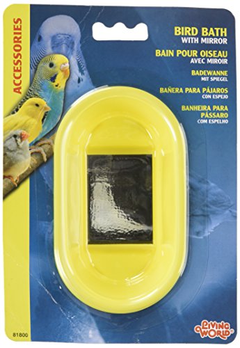 Living World Oval Bird Bath with Mirror (Colors may vary)