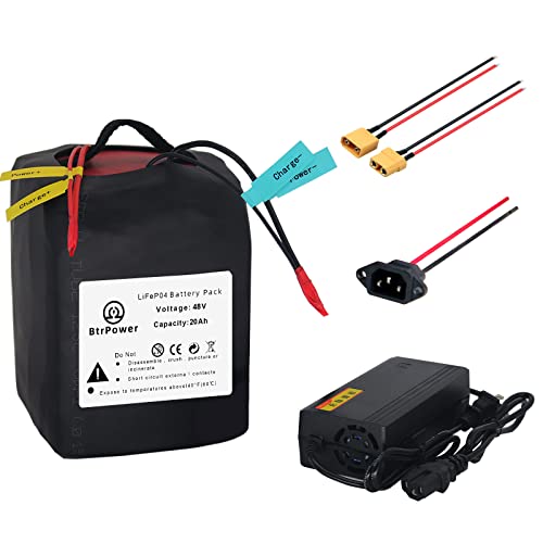 HAYAEnergy 48V 20Ah Ebike Battery LiFePo4 Battery Electric Scooter Battery with Fast Charger and 40A BMS for 250-2000W Motor on Ebike, Motorcycle and Electric Dirt Bikes