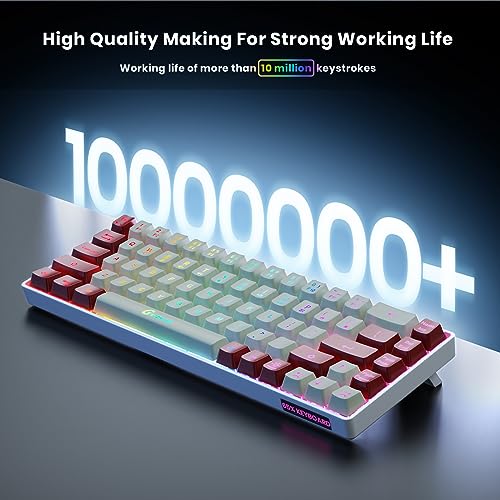 GEODMAER 65% Wireless Gaming Keyboard, Rechargeable Backlit Gaming Keyboard, Ultra-Compact Mini Mechanical Feel Anti-ghosting Keyboard for PC Laptop PS5 PS4 Xbox One Mac Gamer (White-Red)