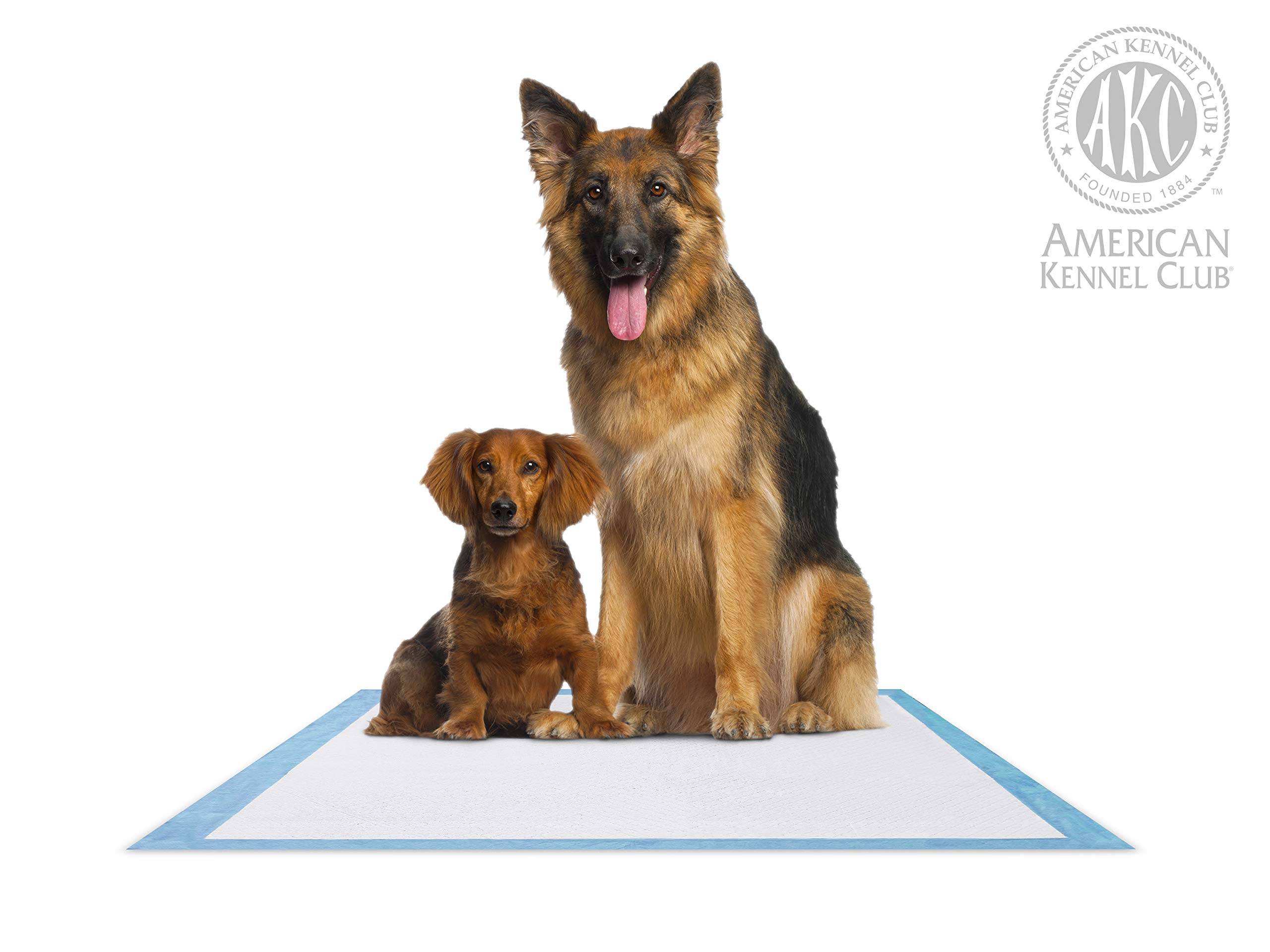 Ultra Absorbent Odor Control Training Pads For Dogs Leak-proof Quick Dry Gel – Extra Large 30 x 28 Pee Pads - Fresh Scented - 50 Count, Pack of 1