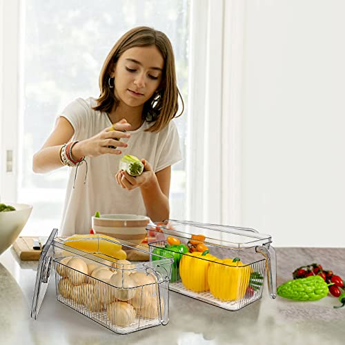 loobuu Produce Saver Containers for Refrigerator - 2 Pack Stackable Food Storage Container for Fridge, Berry Keeper Boxes with Removable Drain Tray Keep Fresh for Vegetables, Fruit,Meat and Salad