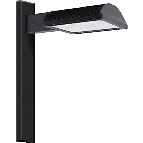 RAB Lighting ALED3T78 Type III with 8-Inch Pole Mounting Arm Cool Led, Bronze