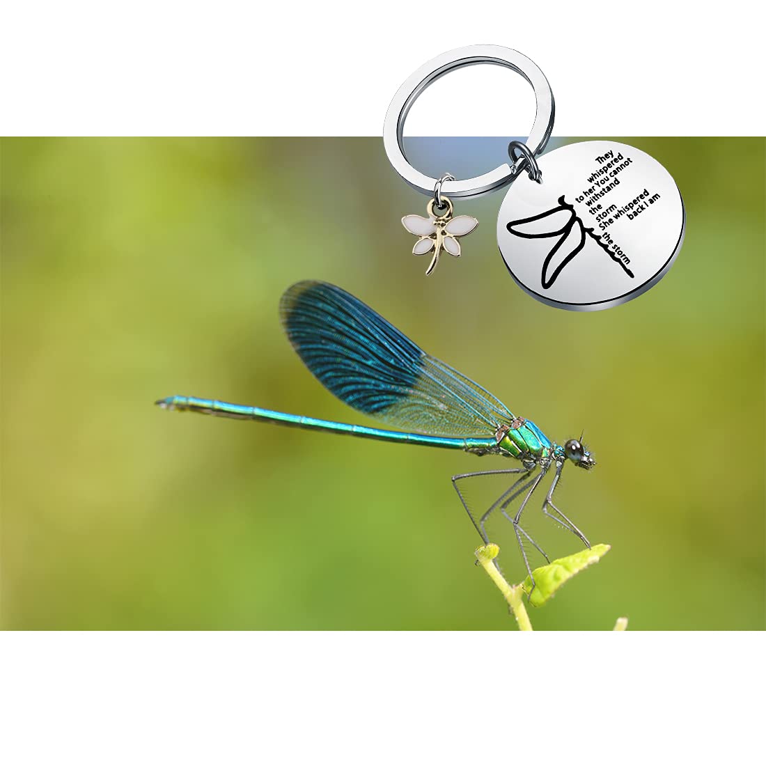 BNQL Inspirational Dragonfly Gifts Dragonfly Lover Gifts They Whispered to Her You Cannot Withstand the Storm She Whispered Back I am the Storm (SILVER)