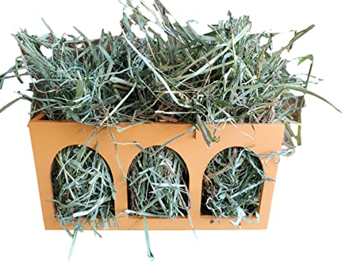 Piggies Choice Hay Feeder Natural Pine Wood Arch Guinea Pig Hay Rack with Option to Attach to Cage (Mango with Bottom)