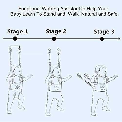 Baby Walker, Adjustable Baby Walking Harness Safety Harnesses, Pulling and Lifting Dual Use 7-24 Month Breathable Stand Up & Walking Learning Helper for Infant Child Activity Walker, Light Purple