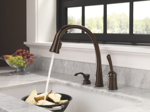 Delta Faucet Pilar Kitchen Soap Dispenser for Kitchen Sinks, Venetian Bronze RP50781RB