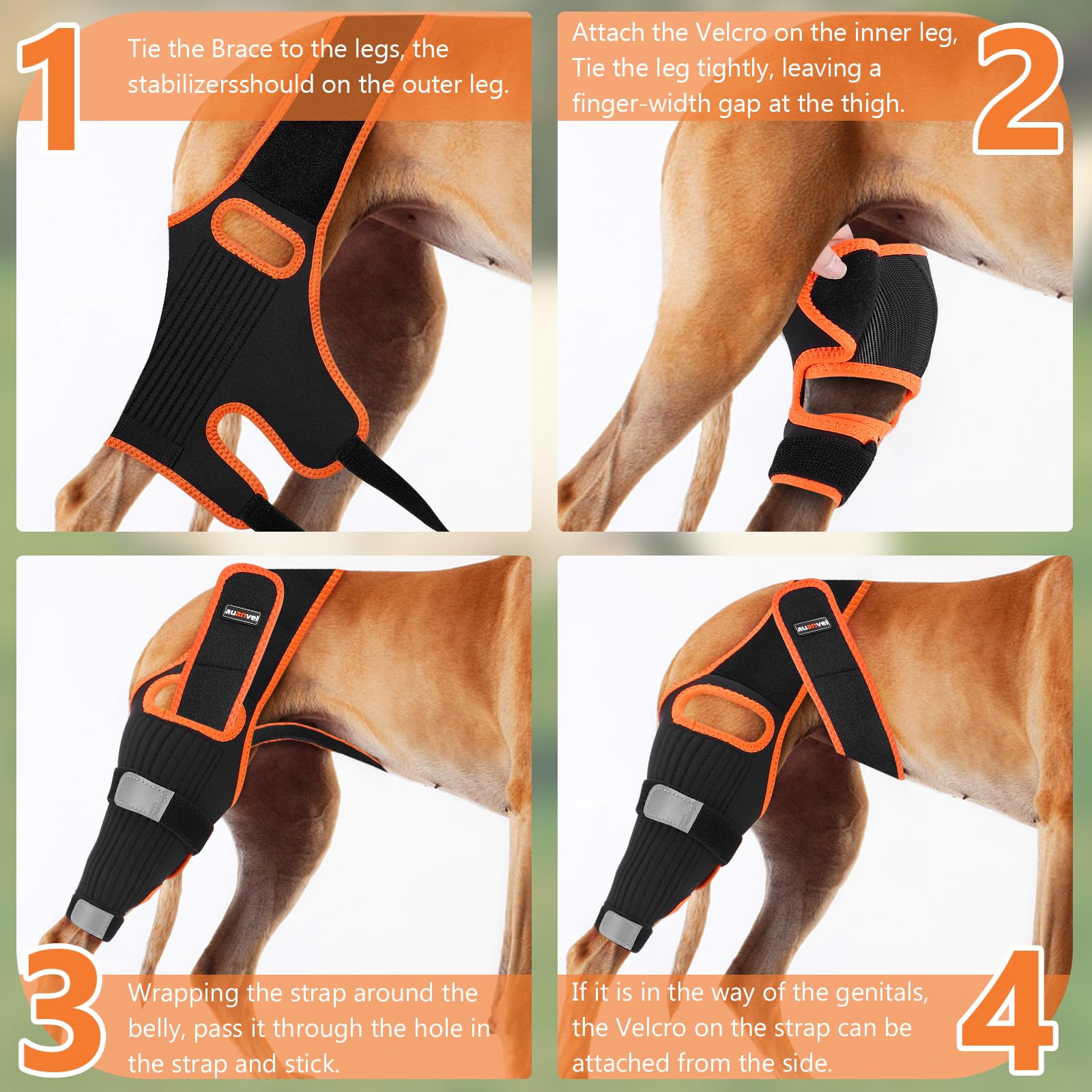 Dog Knee Brace Leg Braces with Side Stabilizers for Dogs Support for Torn ACL CCL Hind Leg, Knee Cap Dislocation, Cruciate Ligament Injuries, Patella Dislocation or Osteoarthritis (L)