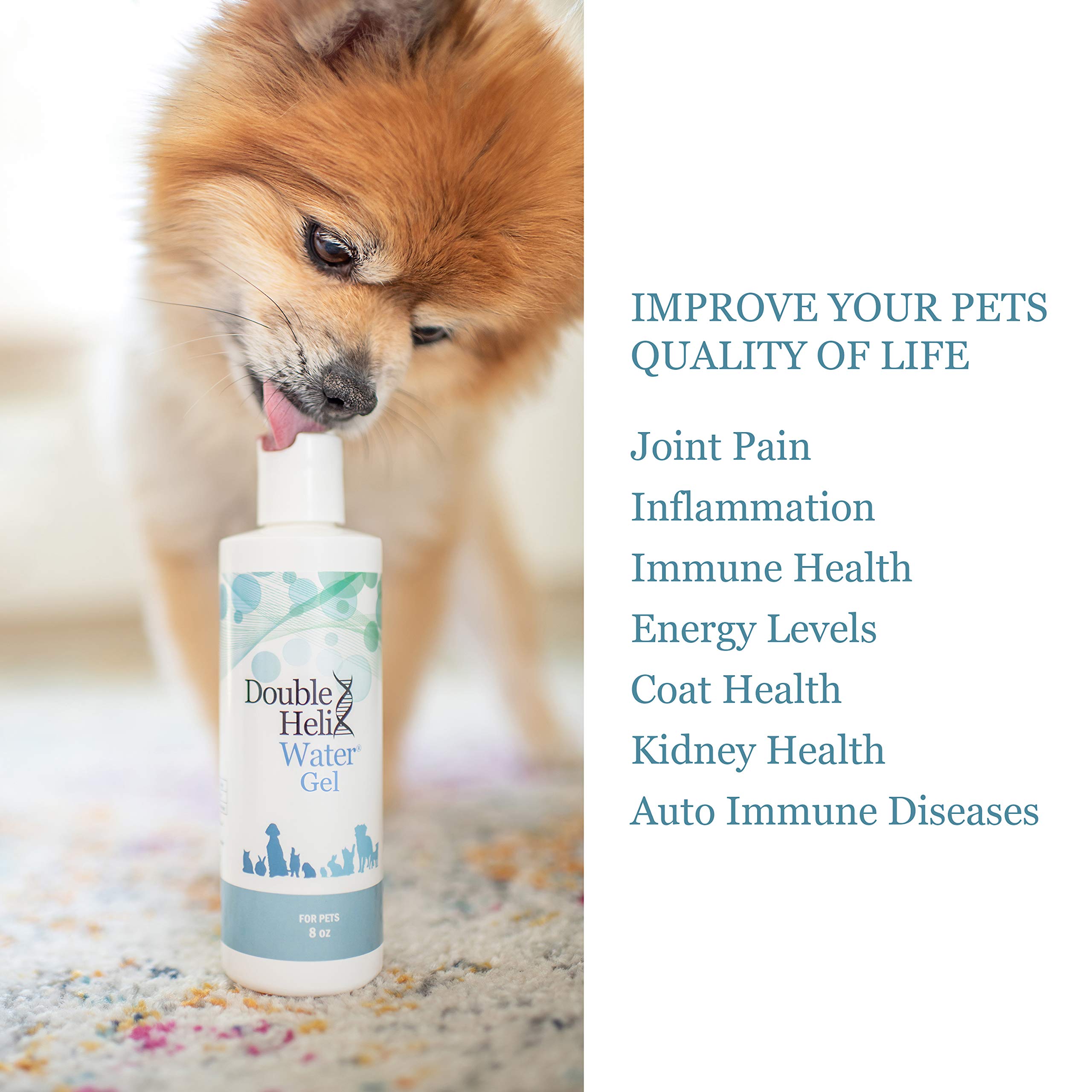 Double Helix Water for Pets Pack of 3