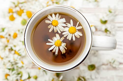 Cha4Tea 36-Count Pure Camomile Herbal Tea Pods for Keurig K-Cup Brewers - Bedtime/Sleep-well/Nightly Calm/Relaxing Tea