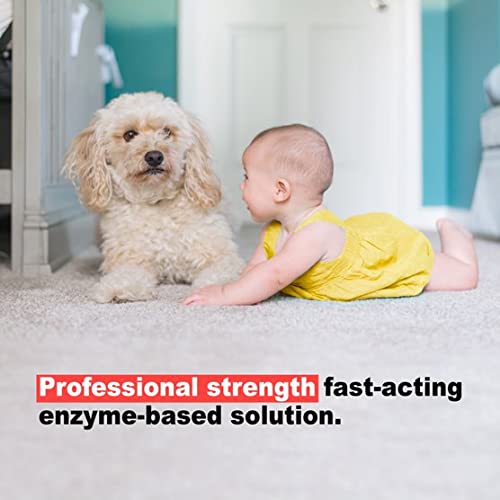Urine Gone Stain & Odor Eliminator: Professional Strength Fast-Acting Enzyme-Based Solution, Instantly Penetrates and Neutralizes into the Fibers of a Carpet, Stops Pets from Remarking
