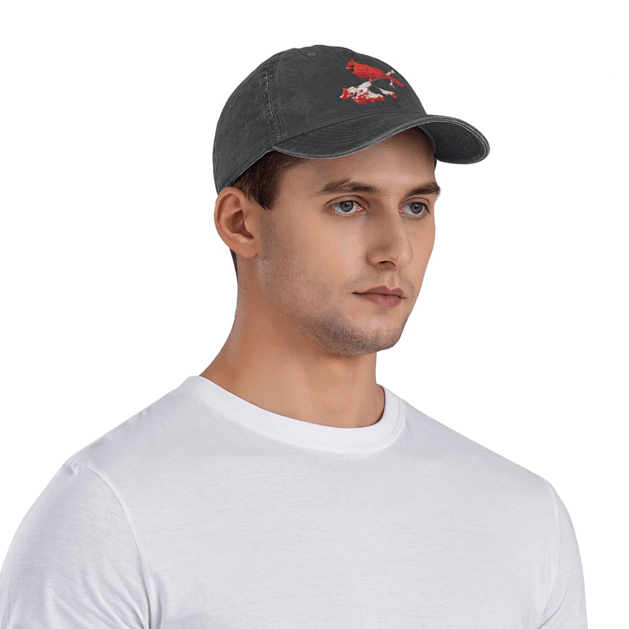 BISZANQA Red Cardinal Bird Sitting On Mountain Print Hat,Black Baseball Cap for Unisex Adult Denim Hats, Medium-Large