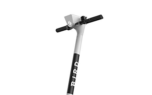 BIRD One Electric Scooter w/25 mi Max Range, 18 mph Max Speed, Headlight & Smart App (Dove White)