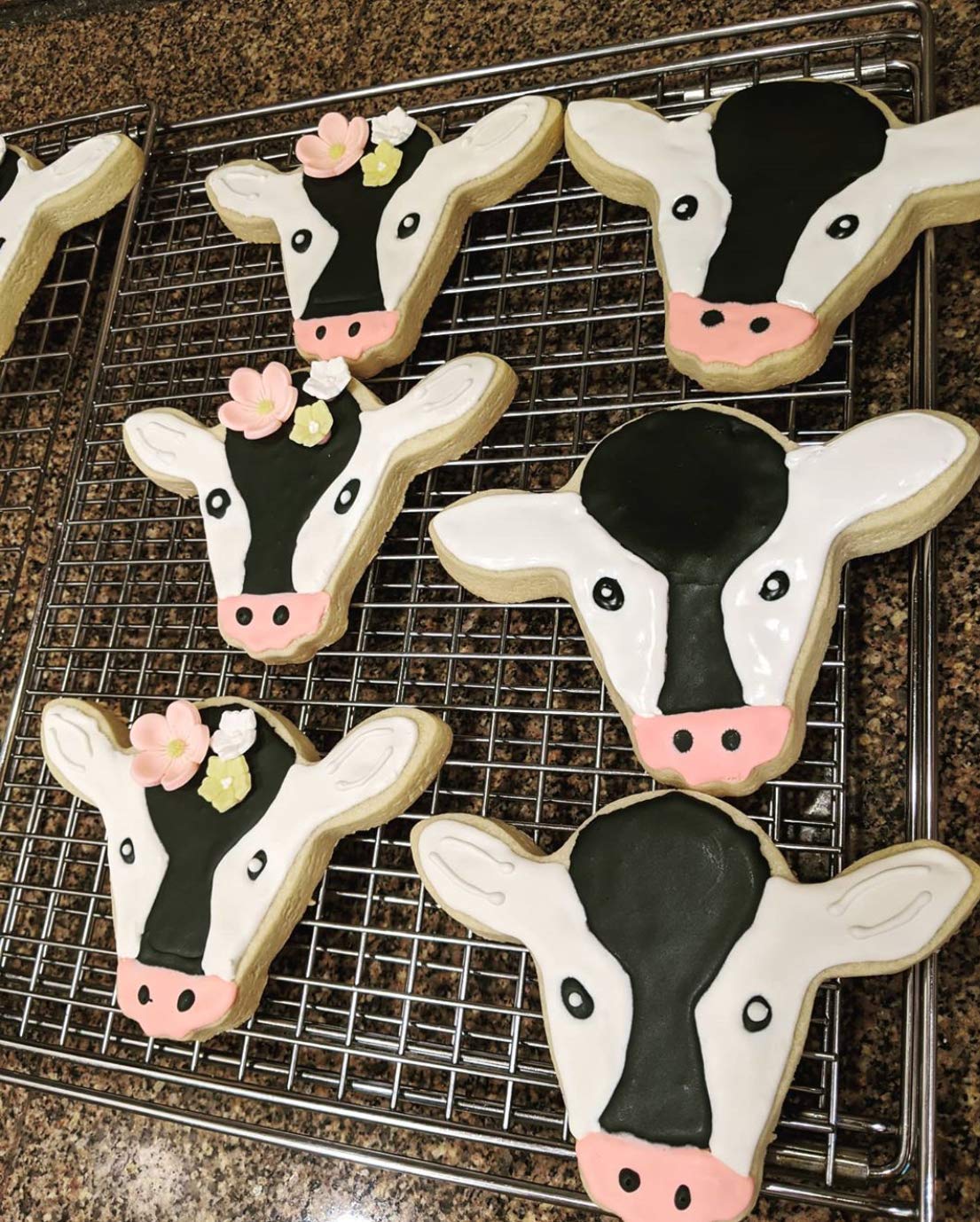 Cute Cow Steer Face Metal Cookie Cutter, 4.5" Made in USA by Ann Clark