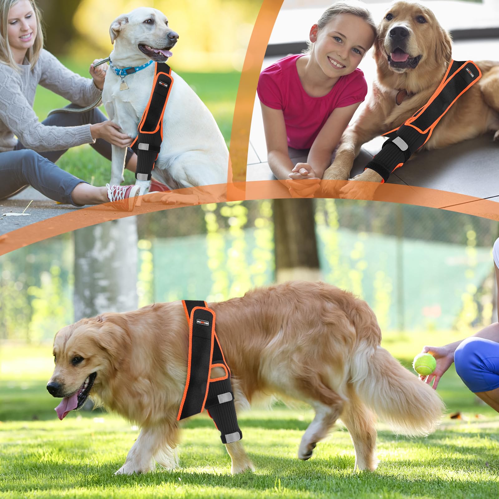 Dog Knee Brace Leg Braces with Side Stabilizers for Dogs Support for Torn ACL CCL Hind Leg, Knee Cap Dislocation, Cruciate Ligament Injuries, Patella Dislocation or Osteoarthritis (L)