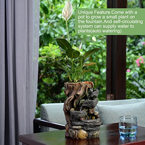 GOSSI Indoor Fountain Decorative 5-Tier Rockery Tabletop Fountains with a Small Plastic Pot to Grow The Plant by Yourself(Auto Watering)(22021)