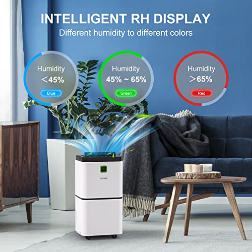 Lienuis 25 Pints Dehumidifiers for Home and Basements, Large Room, Bedroom, Bathroom, 2000 Sq. Ft. Dehumidifier with Drain Hose and Water Tank, Auto or Manual Drainage, 12H Timer, Auto Defrost, Child Lock