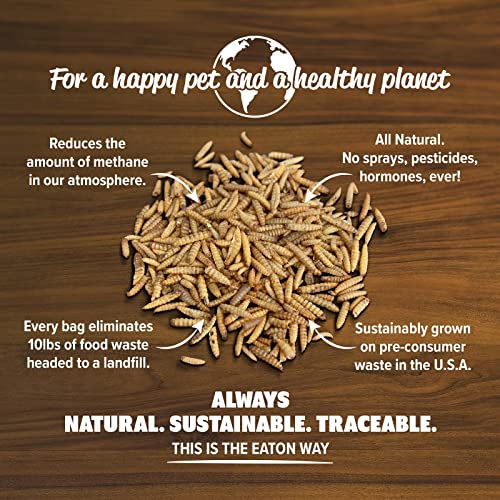 Eaton Pet & Pasture, USA Premium Dried Black Soldier Fly Larvae 1 LB, High Calcium Treat for Chickens, Ducks, Wild Birds